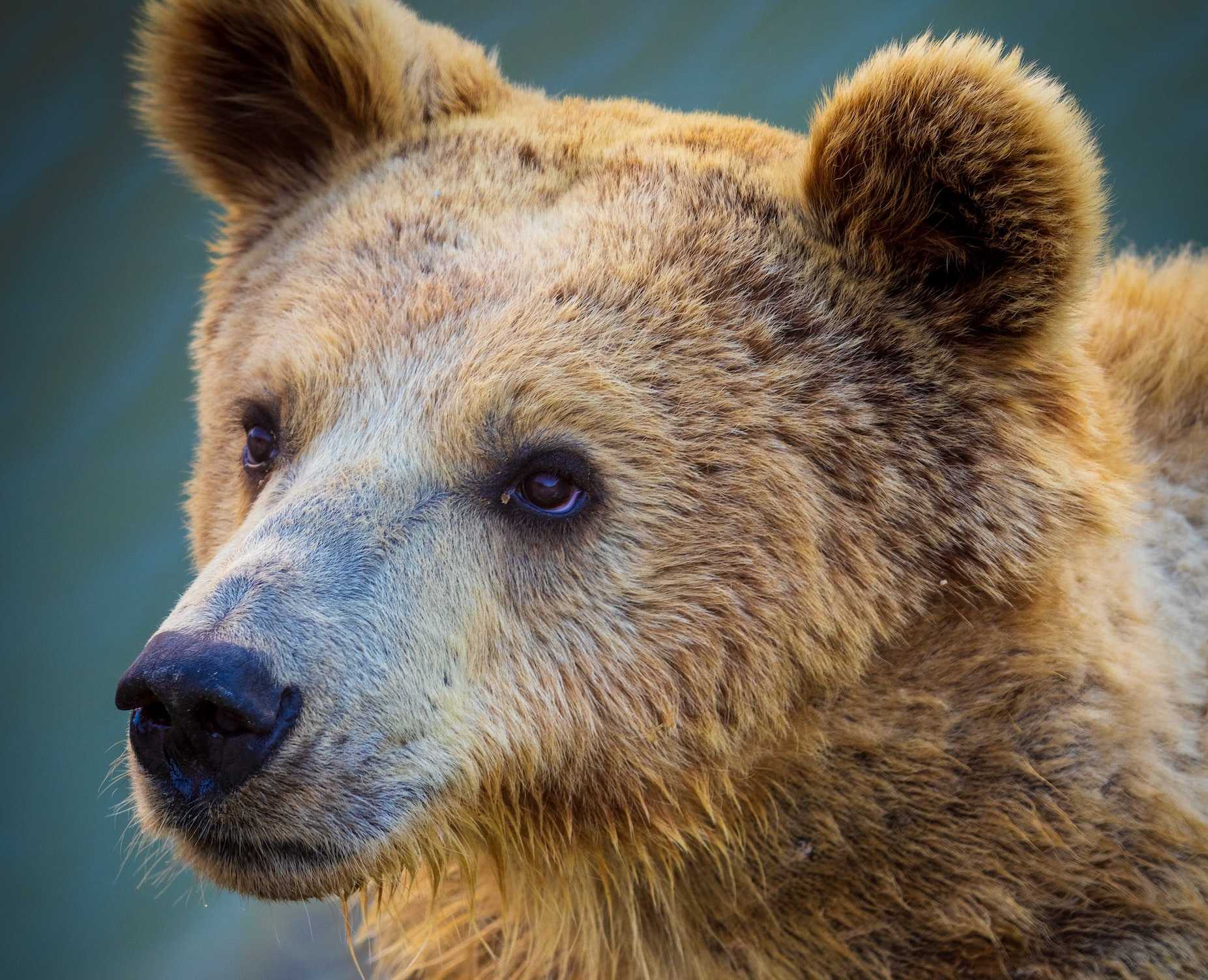 英単語を効果的に定着させる記憶術『ニーモニック』とは？ | What are "Method of Loci" and "Person ...